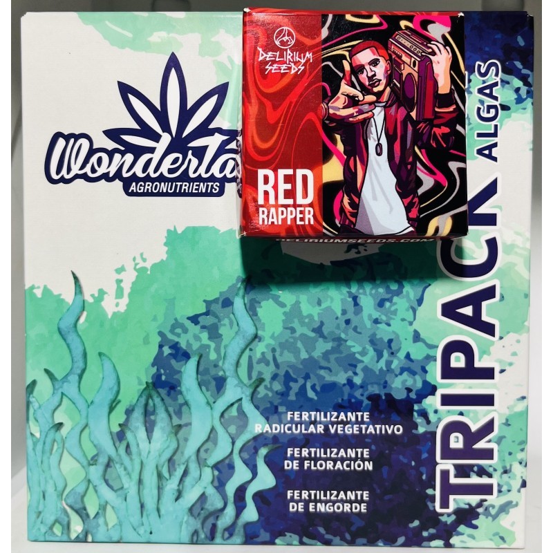 Pack Fertilizante Wonderland + RED RAPPER x4 - Delirium Seeds